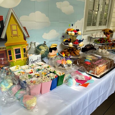 Disney UP House Character Prop Kids Party Decoration Ideas Summer ...