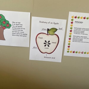 Apple Anatomy, Parts of an Apple Poster, Digital Print, INSTANT ...