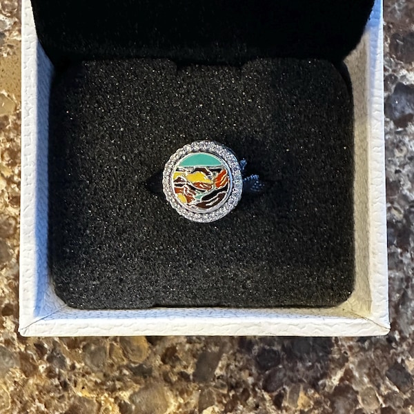 Pandora HOME Florida Map Exclusive Dangle Charm Charm for Bracelet and ...