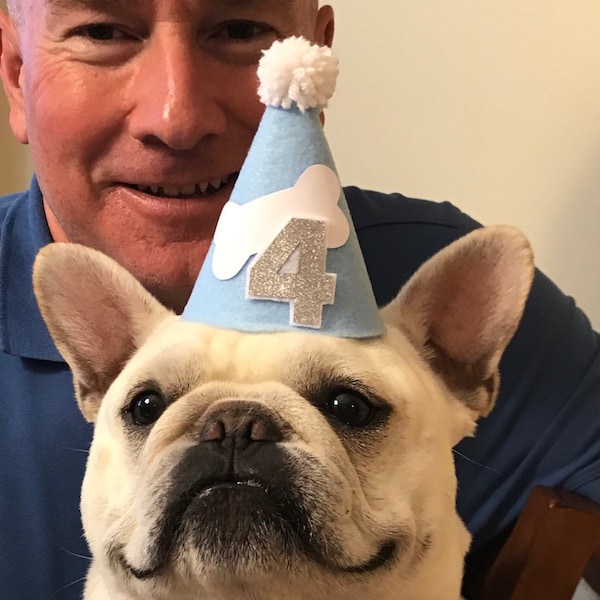CUSTOMIZABLE Dog Bone MINI Birthday Cake Smash Party Hat / Headband in ...