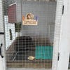 Bunny Rabbit Cage Tag, Personalized, Custom, Engraved Wood, Pet Rabbit ...