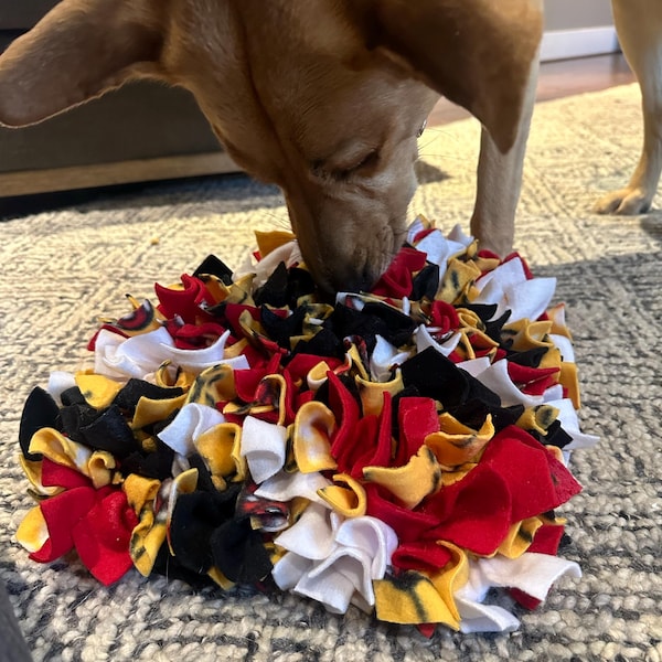 Happy Birthday Gift Box for Dogs (includes Over-collar Bandana, Tug Toy ...