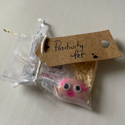 Positivity Pet Pebble Mental Health Animal Friends Pets for Pocket ...