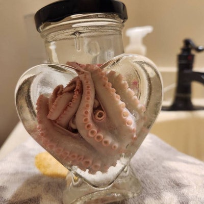 Octopus Wet Specimen in Glass Heart Jar, Bubblegum Range Stained ...