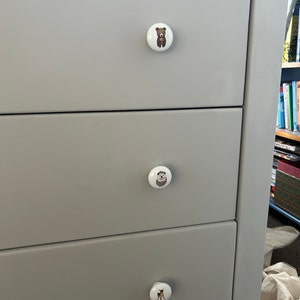 Rabbit Theme Drawer Knobs, Safari Animal Nursery Room Drawer Handles ...