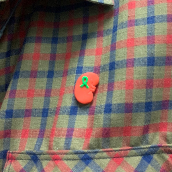 Handmade Kidney Pin: Organ Donor Awareness Gift - Etsy