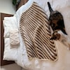 Striped Corner to Corner Crochet Blanket Pattern - Crochet Pattern ...