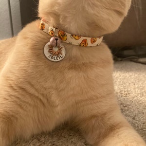 Cat Collar White with Metallic Gold Stars and Starbursts | Etsy