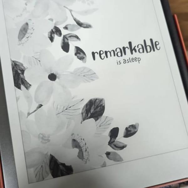 Client Record Book for Remarkable Paper Pro, Client Tracker, Client ...