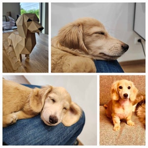 Papercraft Fawn, Cute Fawn, Animal Digital Patterns, Low Poly ...