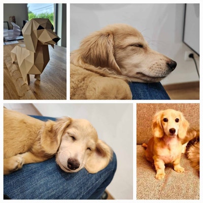 Papercraft Fawn, Cute Fawn, Animal Digital Patterns, Low Poly ...