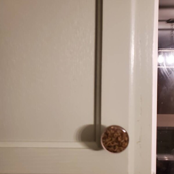 Antique Copper Spice Resin Cabinet Knobs, Farmhouse, Boho, Unique Knobs ...