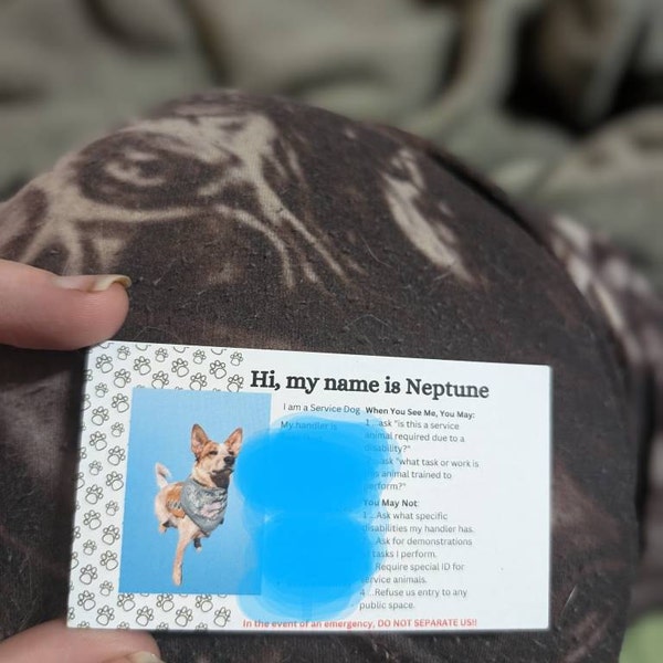 Independence Day Printable Bookmark Set, Digital Bookmark, Instant ...