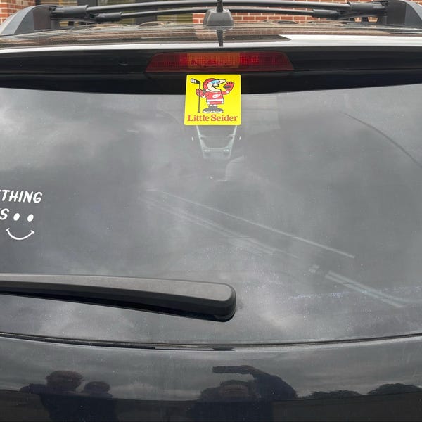 You Matter, Mental Health Decal, 988 Decal, 988 Suicide and Crisis ...