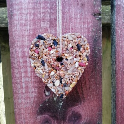 Bird House, Bird Box, Decoupaged Bird House, Garden Decorative Bird ...