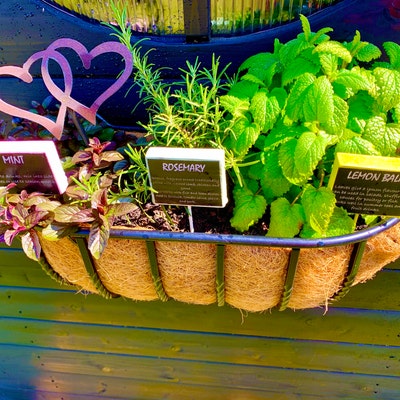 Rustic Wooden Herb Labels/plant Markers - Etsy