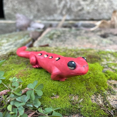 Handmade Polymer Clay Angry Screaming Desert Rain Frogs - Etsy