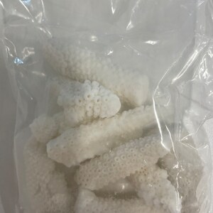 Shell Bits & Pieces Shards Beach Sand Tiny Little Shells for - Etsy