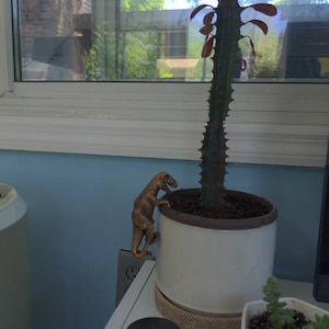 Peter Rabbit Pot Buddy Pot Hanger Beatrix Potter Gift - Etsy