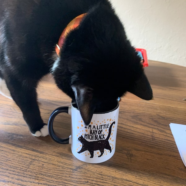 Black Cat Mug Large Funny Coffee Cup Gift Sassy Cat Lover Pet Owner ...