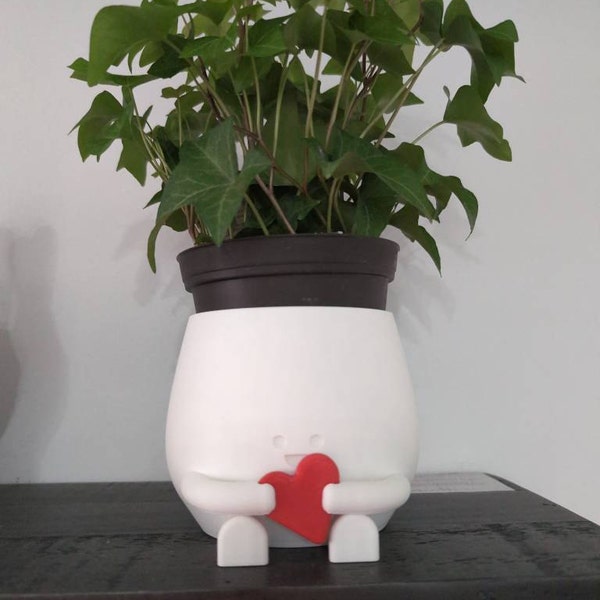 Happy Plant Pot Valentine Gift for Her Gift for Him Valentine's Day ...