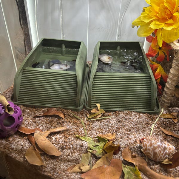 Sliding Coin Bank 3D Printed Coin Bank With Slide - Etsy