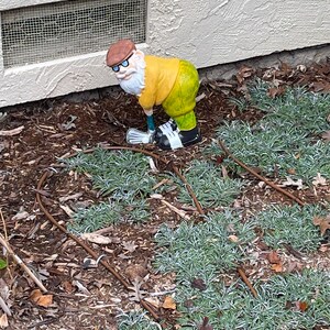 Namaste Garden Gnomes - Etsy