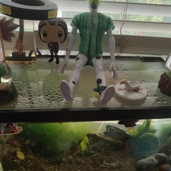 Acrylic Aquarium Lid: 2.5/5.5/10 Gallon | Clear Terrarium Cover ...
