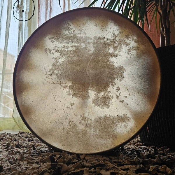 Lacing Rawhide, Medium Thick Buffalo Skin Rope for Drum Making. /1cm by ...