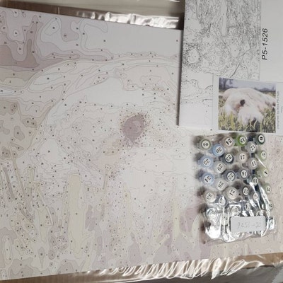 Personalized Paint by Numbers Kit for Adults Beginners - Etsy