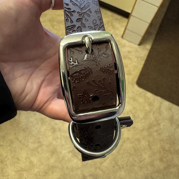 Mallow Waterproof Dog Collar | Personalised Biothane | Custom Print ...