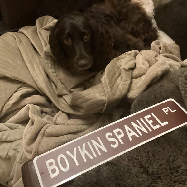 SSR, Chevrolet SSR Sign, Chevrolet SSR Gift, Chevrolet Pick-up Owner ...