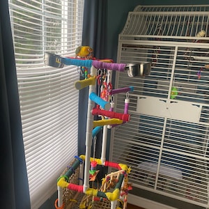 25 Closed Bird Leg Bands Aluminum Custom Laser Engraved in - Etsy