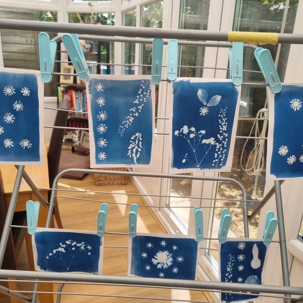 Cyanotype Kit: Easy to Use Sun Printing Kit by Daisy Bow Craft - Etsy