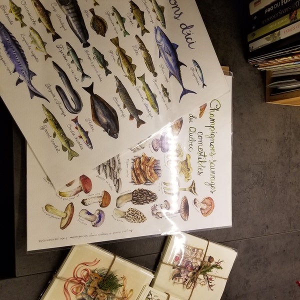 Imprimé Poissons du Québec | Poster planche identification poissons ...