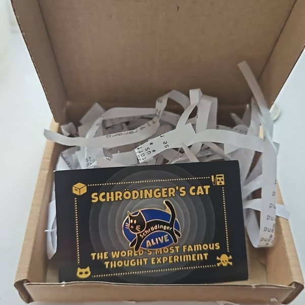 Schrodinger's Cat in a Box - Enamel Pin- Physics, College, Science ...