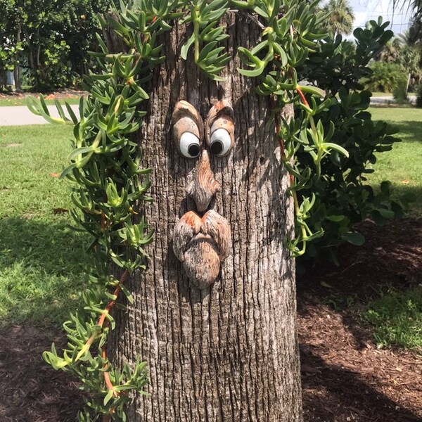The ORIGINAL & GENUINE Mr. Grumpy Stump Tree Face Gift for Dad Fun ...