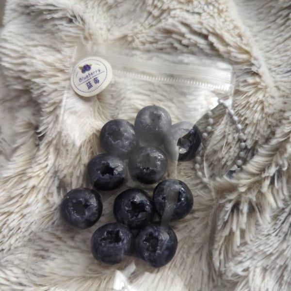 Realistic Blueberry Taba Squishy Toy, Blueberry Squishy Keychain ...