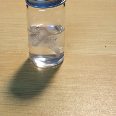 Saturn Atlas Moth Frame Specimen Entomology Taxidermy Curiosities ...