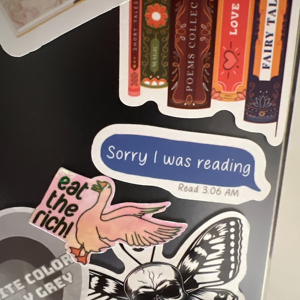 Reading Book Sticker Pack, Waterproof Mystery Sticker Pack, Random Book ...