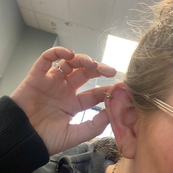 Snake Hinged Segment Hoop Earring, 16g Snake Cartilage Hoop, 16g Snake ...