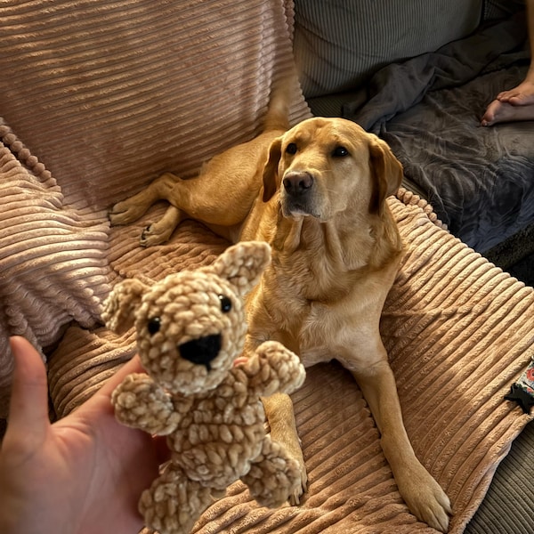 Full Bundle Puppy Pack Mini Snuggler Crochet Patterns Crochet Plushies ...