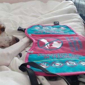 Fidget Case Blue Badge Holder ANY COLOUR - Etsy