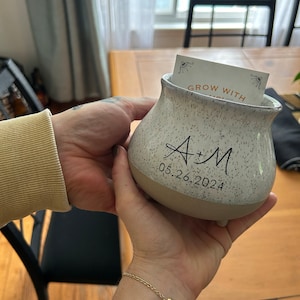 Myrtle Topiary Tree Live Bonsai Tree Houseplant for Christmas ...