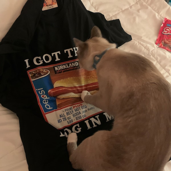 Never Gib up / Gibby Icarly Joke Funny Gen Z Shirt Dank Meme Quote Out ...