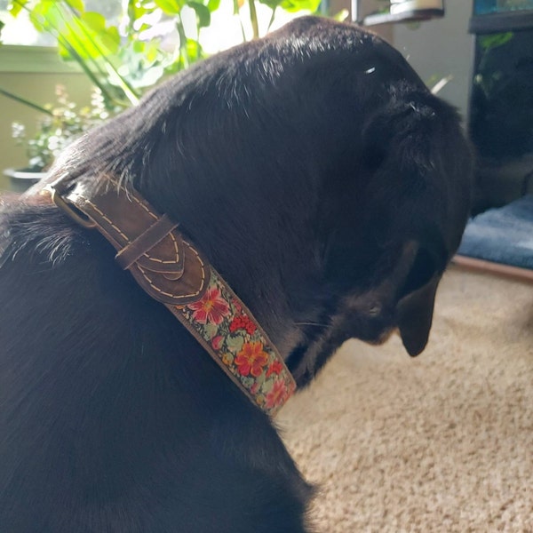 Dog Neck Band With Name. Custom Pet Id. Engraved Dog Collar. Custom Cat ...