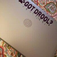 Got Drool? Decal, Paw Print Decal Big Dogs Drool Laptop Decal Dog Decal ...