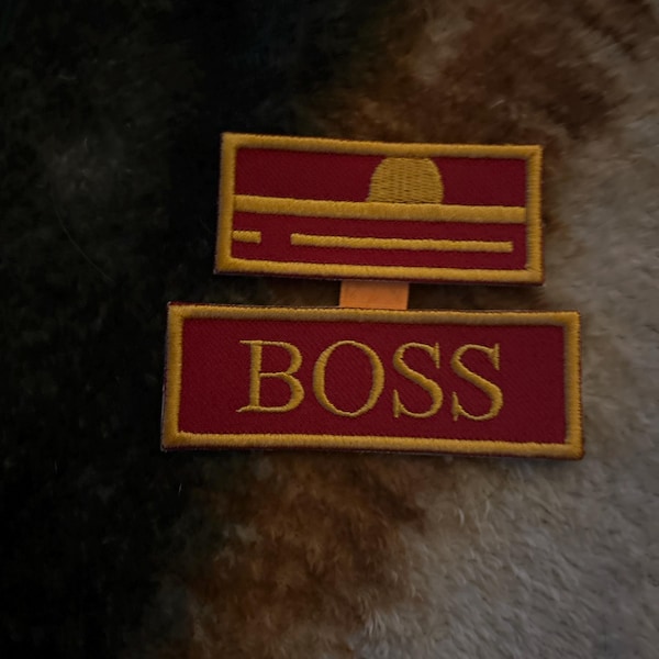 SCP Foundation Patch 3.25 Inch 7.9cm - Etsy