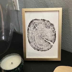 Tree Ring Art Print Watercolor Tree Ring, Tree Art, Watercolor Painting ...