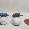 Miniature Rats 1:12 Scale Miniature Size for Horror Diorama, Dollhouse ...